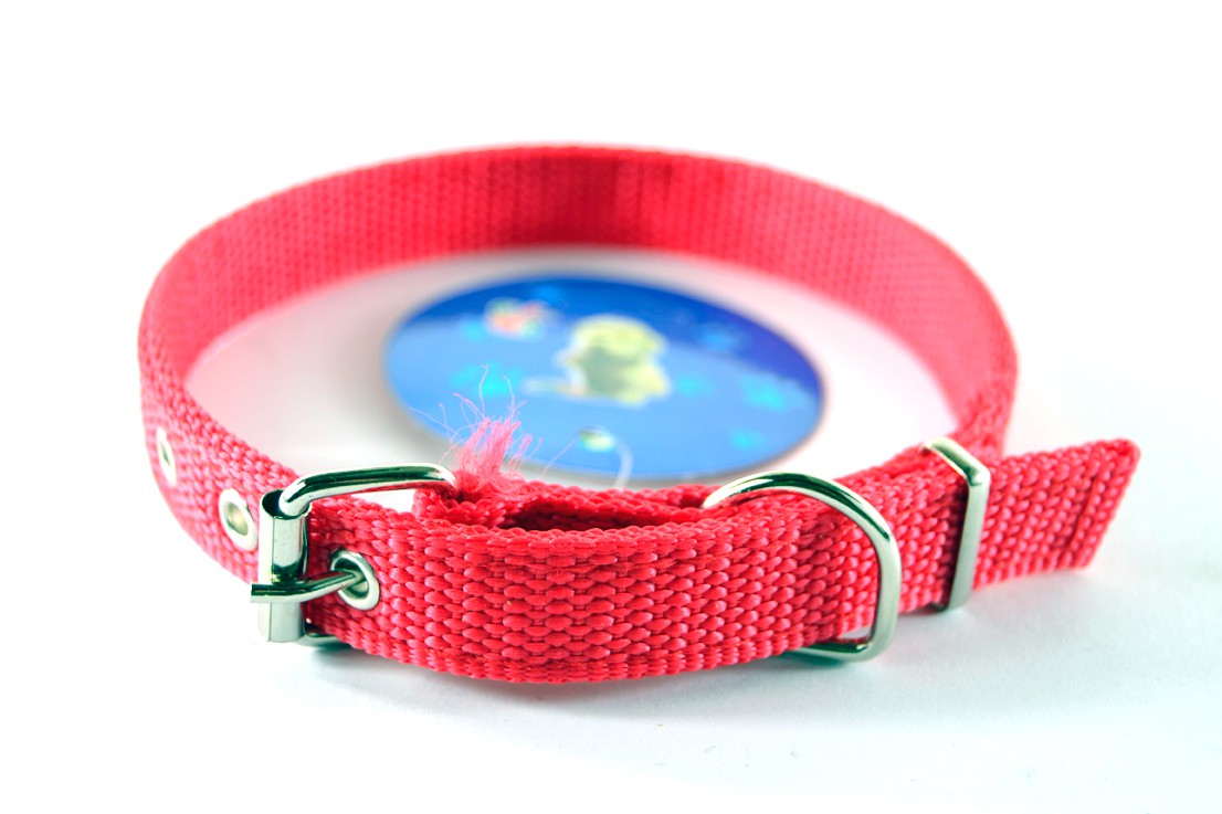DOG COLLARS SINGLE LAYER 2 5CMX55CM A Bassa Sons